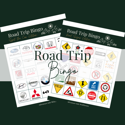 Road Trip Games | Adventure with Wildflowers